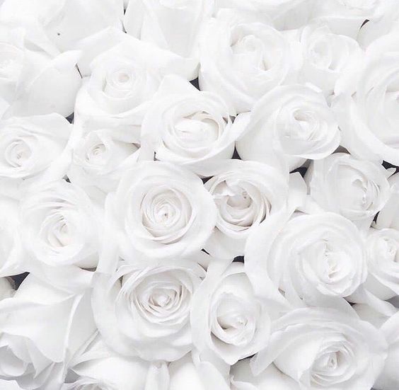 √ 57+ Macam Macam Warna Putih {Arti, Karakter dan Gambar}