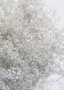 √ 57+ Macam Macam Warna Putih {Arti, Karakter dan Gambar}